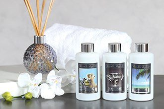 Reed Diffusers & Refills – Curios Gifts