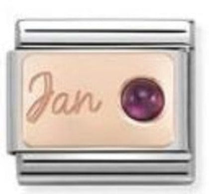 430508/01 Classic S. Steel & 9ct Rose gold January Garnet – Curios Gifts